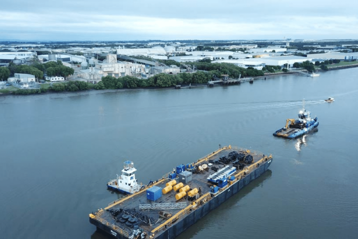 Bhagwan Marine delivers strong FY24 results and outperforms Prospectus ...